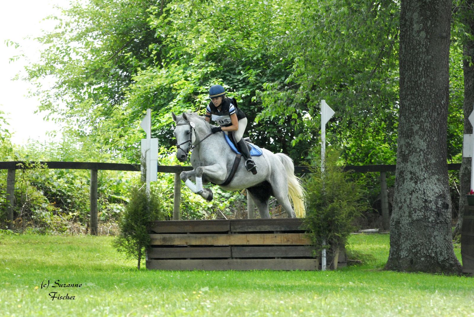 Daphne xc spring run | Eventing Nation - Three-Day Eventing News ...