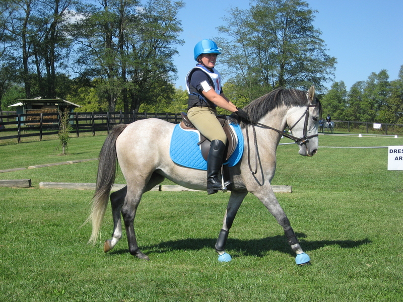 Flash walk | Eventing Nation - Three-Day Eventing News, Results, Videos ...