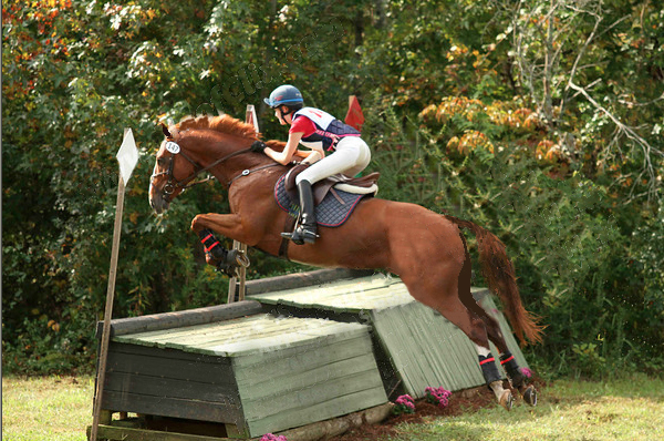 xctryon | Eventing Nation - Three-Day Eventing News, Results, Videos ...