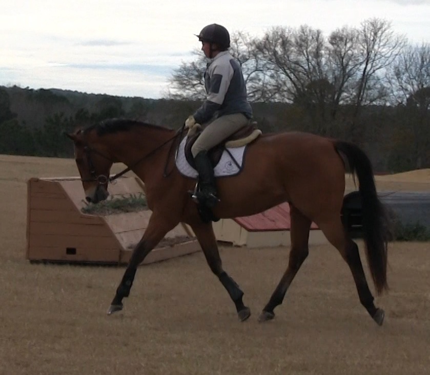 Jerry flat | Eventing Nation - Three-Day Eventing News, Results, Videos ...