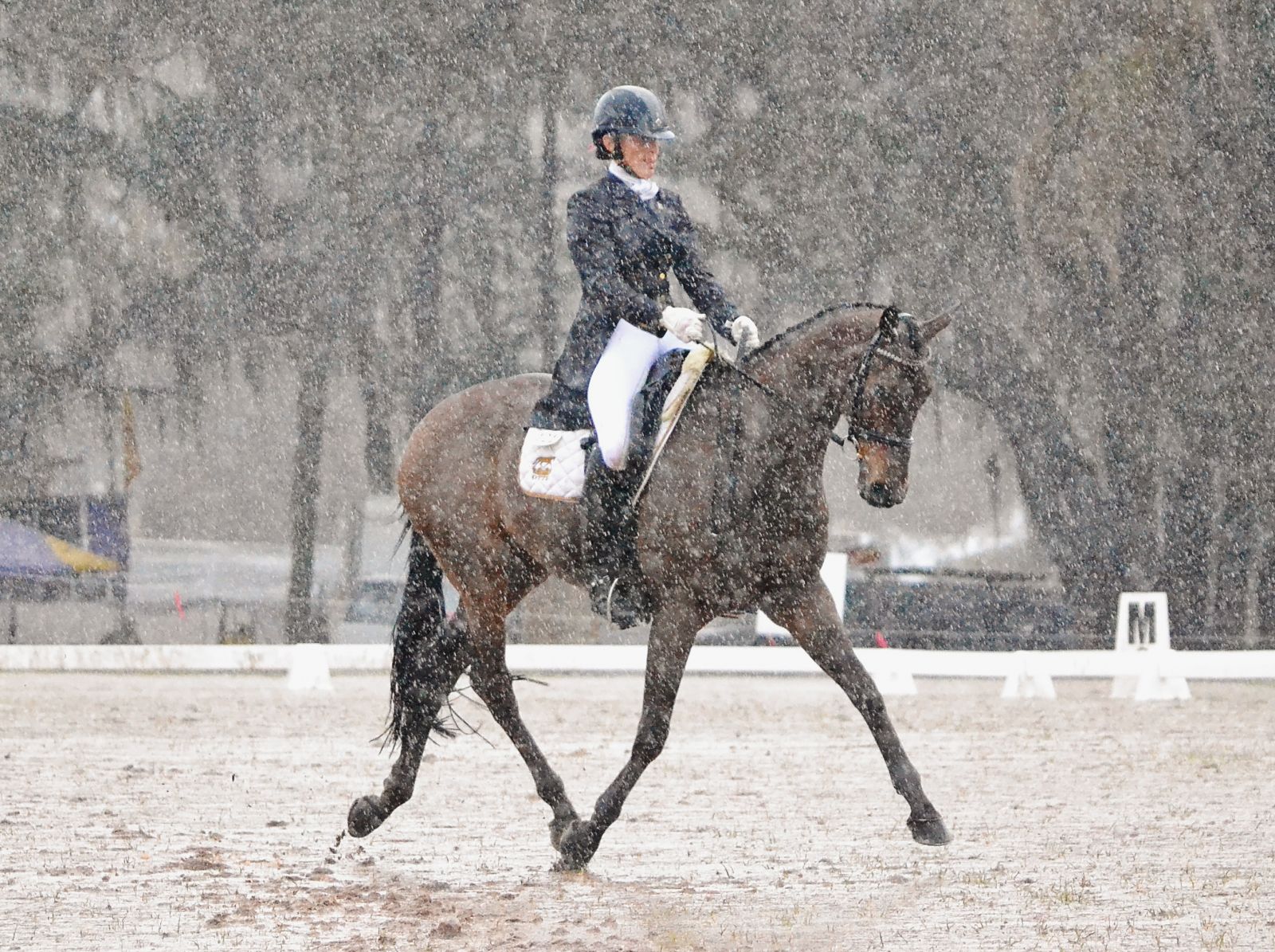 Rain Holds the CIC3* Lead at Red Hills (and Allie Knowles) | Eventing ...