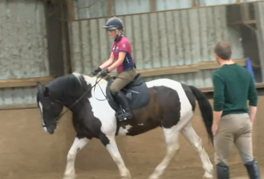 Eventer Suzanna Hext Back in the Saddle After Paralyzing Accident ...