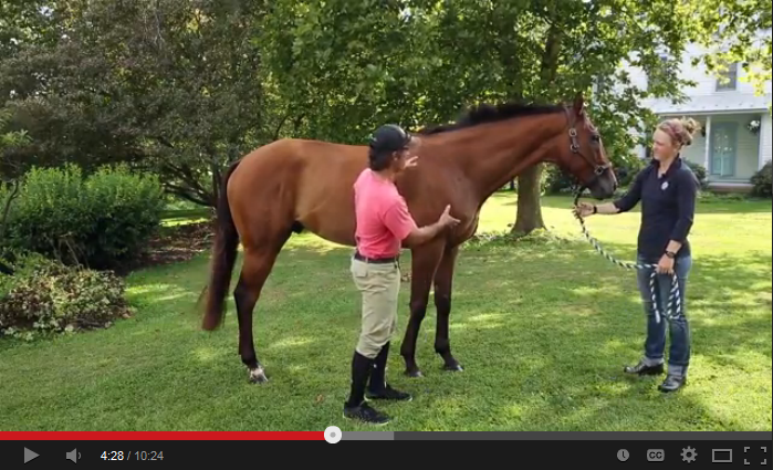 Friday Video: Evention TV on Selecting an OTTB Event Prospect ...