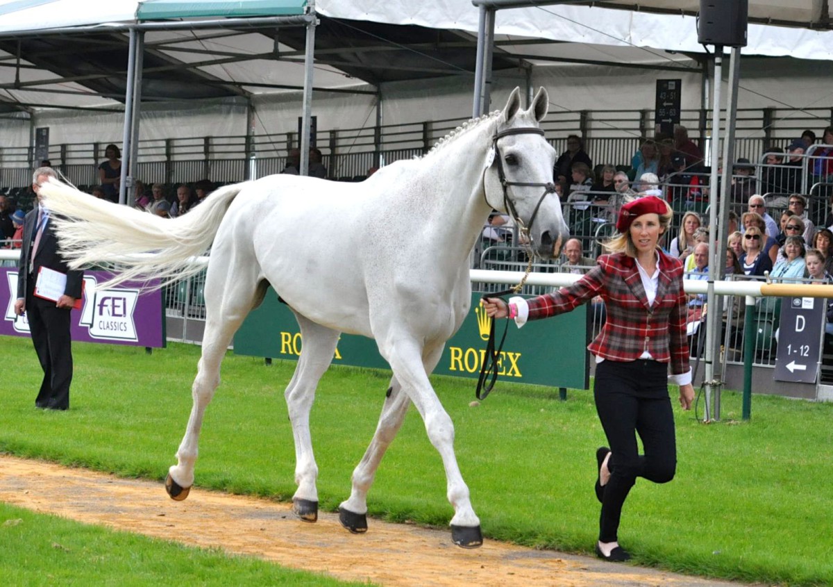 Burghley Jogs: Unofficial Awards & Photo Gallery | Eventing Nation ...
