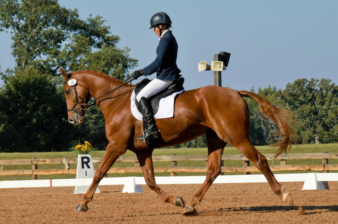 Buck Davidson and Quasar Best of Intermediate at AEC Lunch Break ...