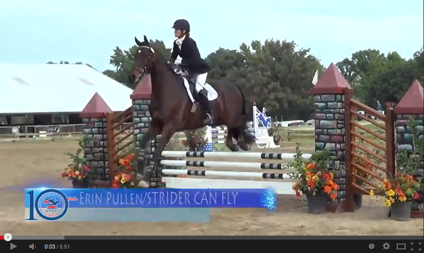 Tuesday Video from SpectraVET: Novice and Beginner Novice AEC ...