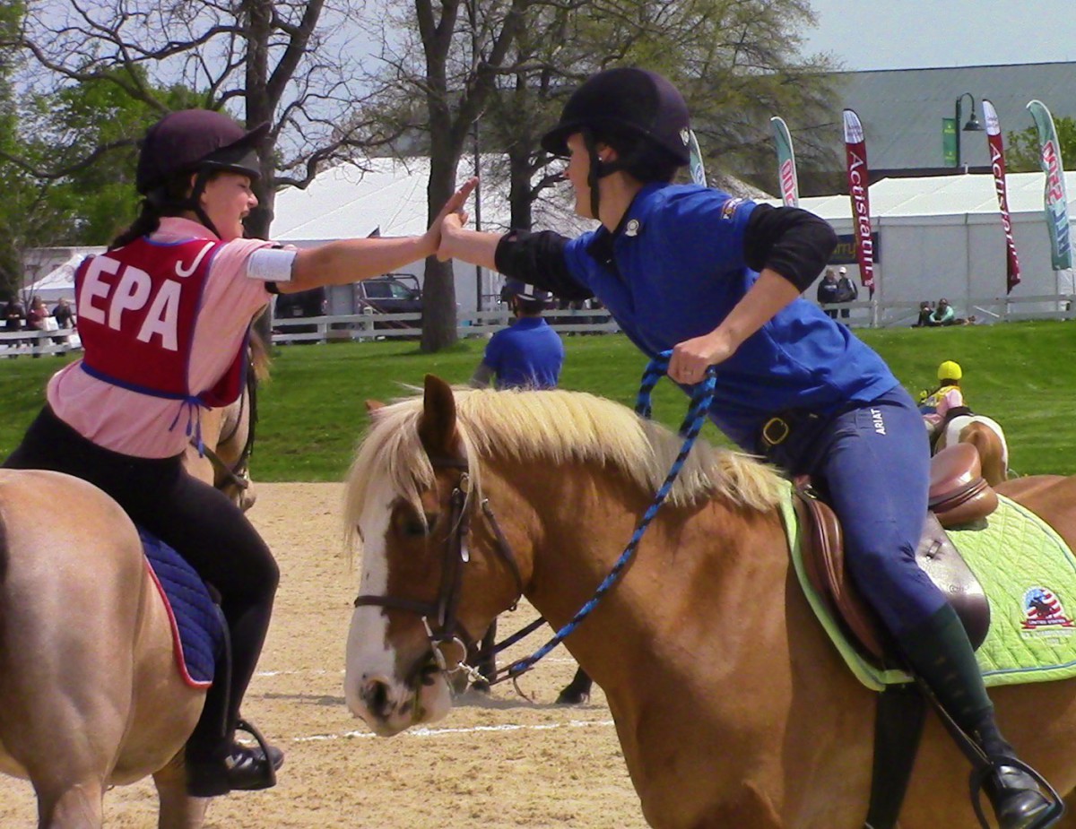 8 Life Lessons We Could All Learn From Pony Club Games Kids | Eventing ...