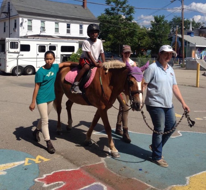 Apple Tree Farm Issues #EventersChallenge | Eventing Nation - Three-Day ...
