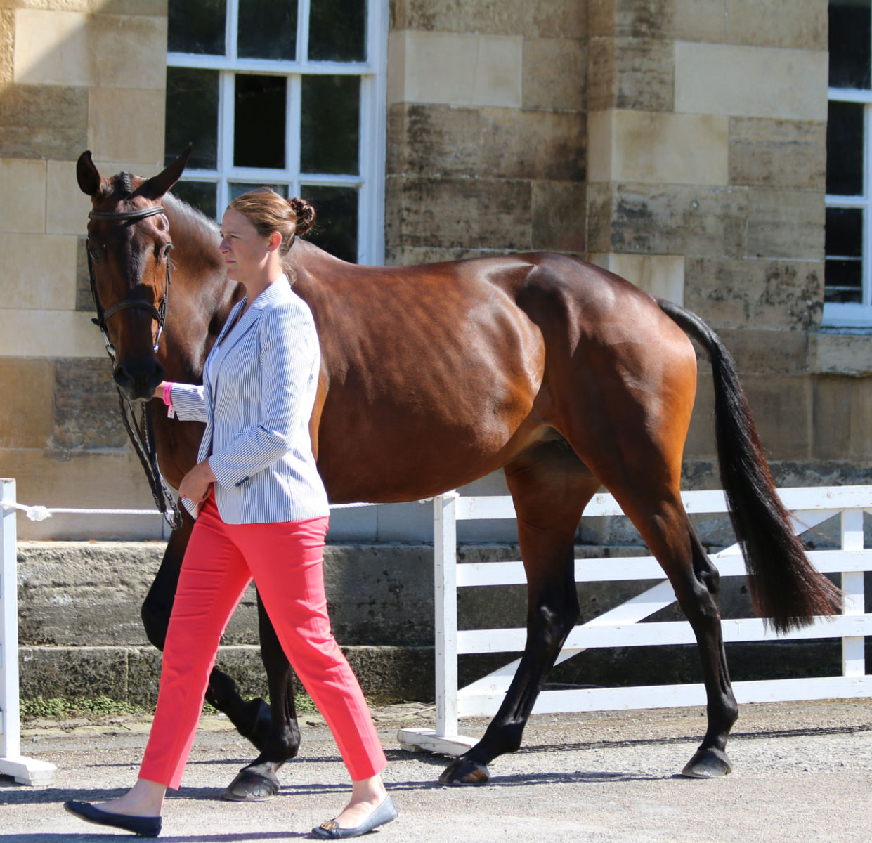 All 72 Horses Pass First Horse Inspection in Equi-Trek Bramham CCI3 ...