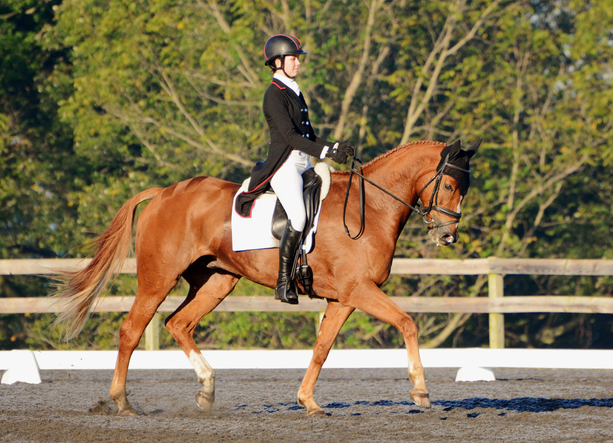 Jenni Autry | Eventing Nation - Three-Day Eventing News, Results ...