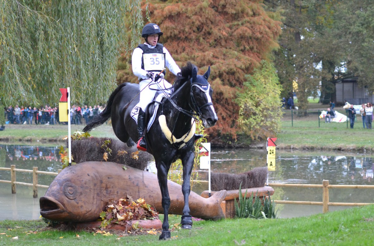 3 Breathtaking Black Event Horses for Your Black Friday | Eventing ...
