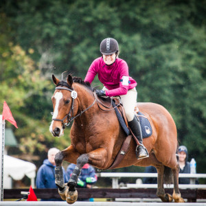 War Horse Event Series Providing Safe, Educational Introduction to ...