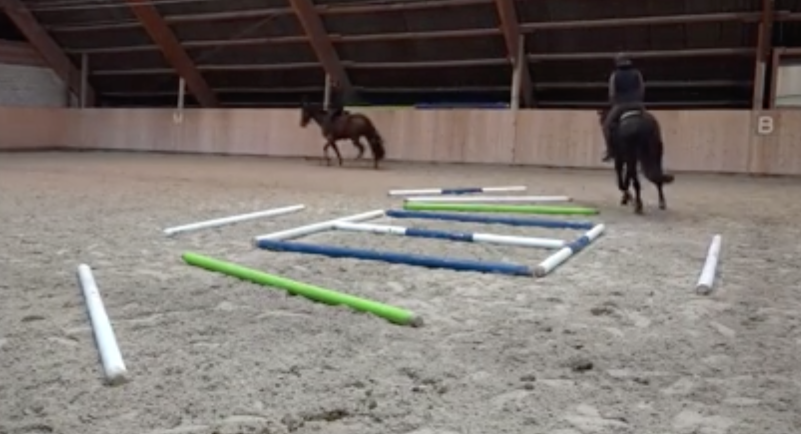 Friday Video from World Equestrian Brands: More Pole Exercises to Spice ...