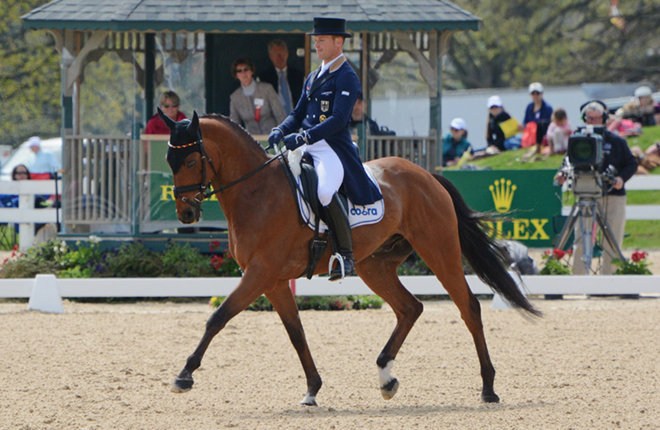 Dressage Gold with William Micklem: The Variables for Dressage ...