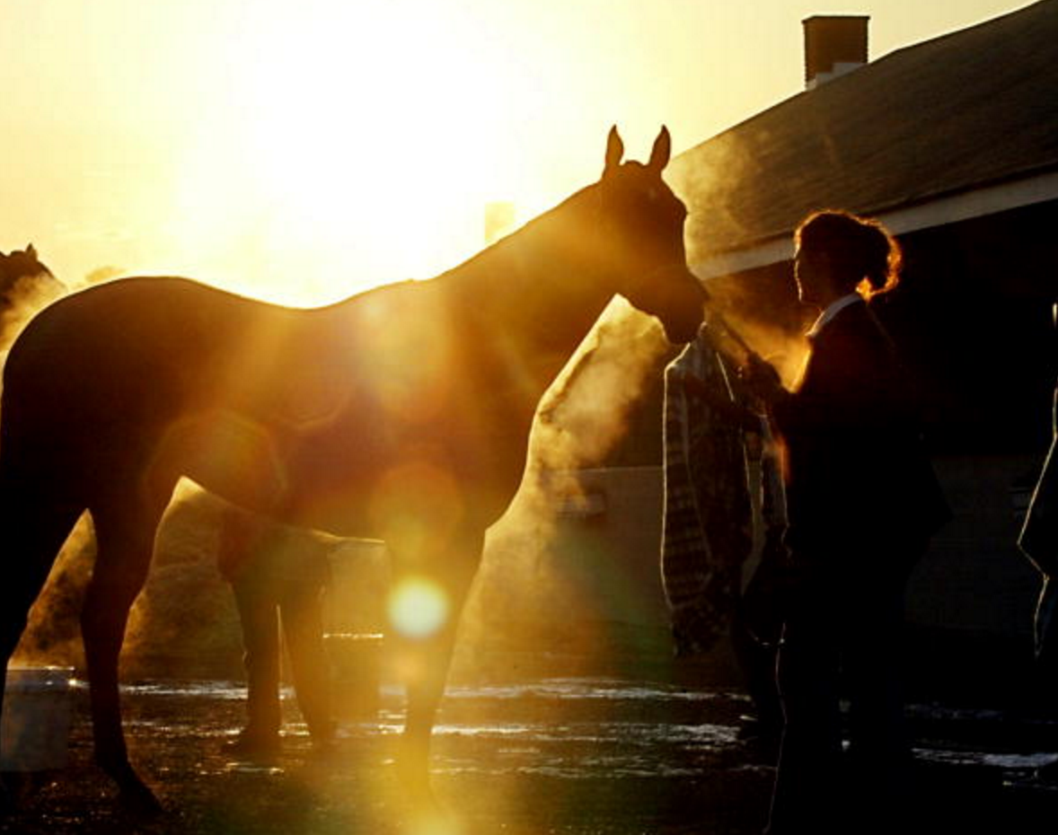 William Micklem: Sunny Side Up | Eventing Nation - Three-Day Eventing ...