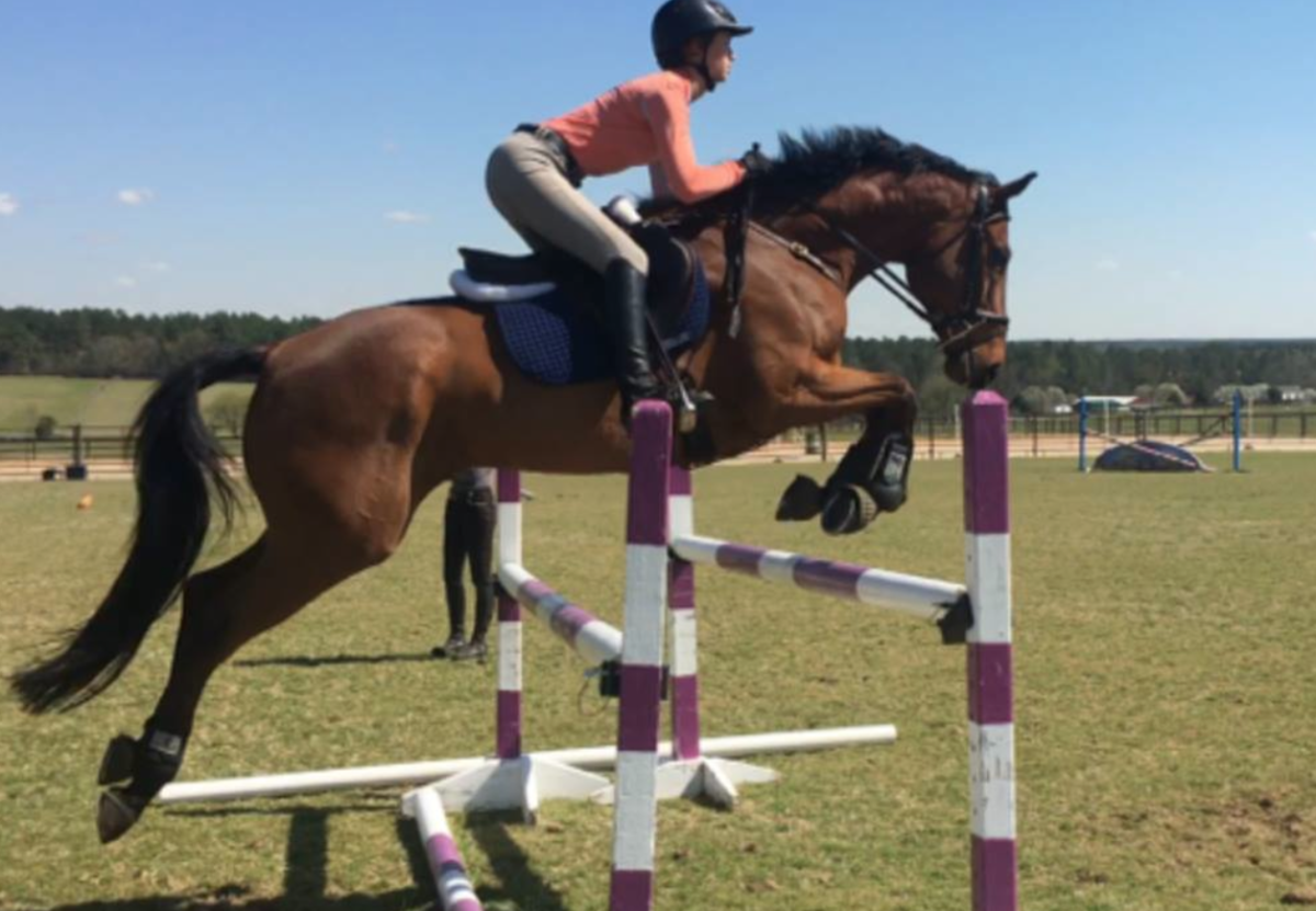 Learning to Grow From Your Mistakes | Eventing Nation - Three-Day ...