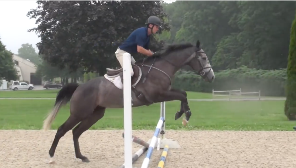 Tuesday Video from SpectraVet: Phillip Dutton, OTTB Whisperer ...