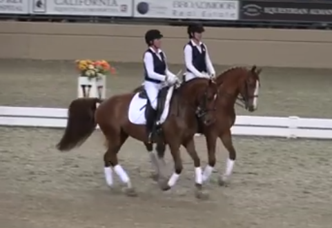 EN’s 2016 Video Countdown: #10. When The Beatles & Synchronized Horse ...