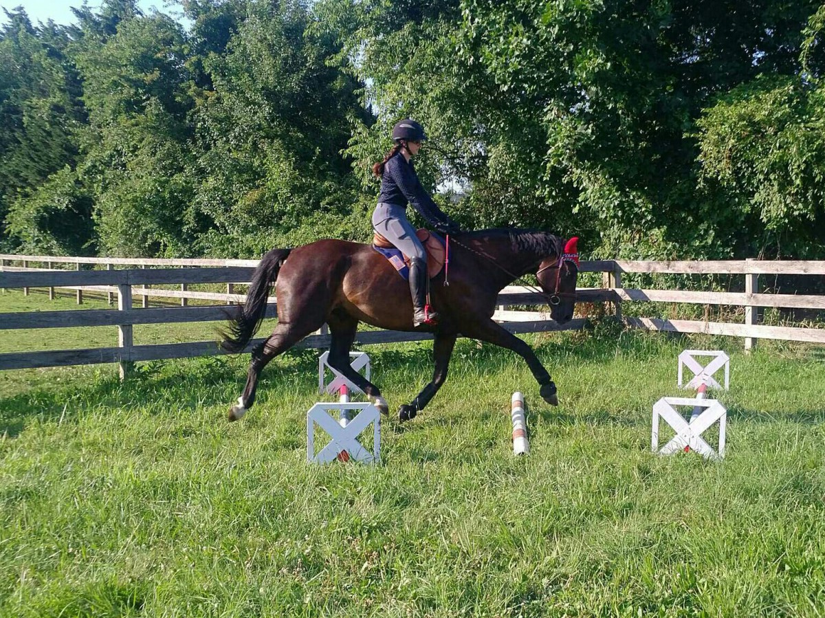 Colleen Peachey | Eventing Nation - Three-Day Eventing News, Results ...