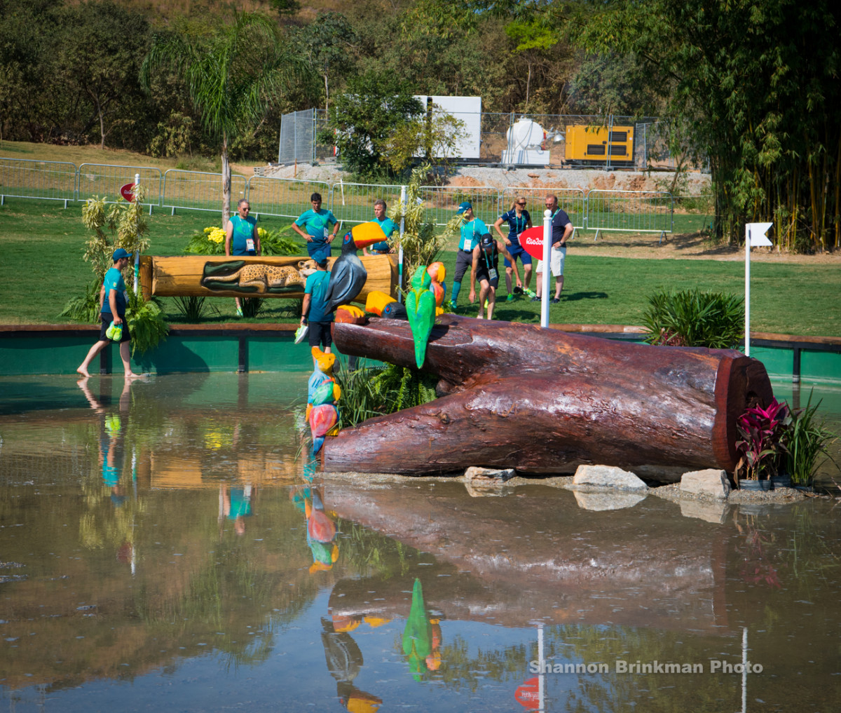 Your Colorful Guide to the 2016 Olympic Cross Country Course | Eventing ...