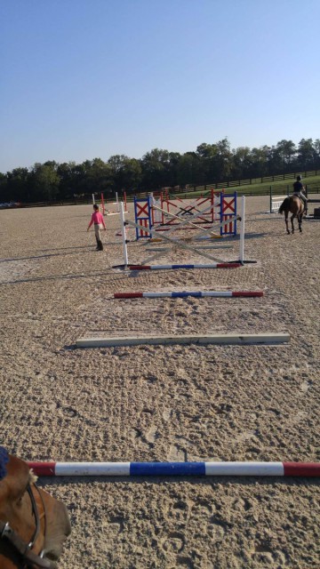 What’s in Your Ring? with Leah Snowden | Eventing Nation - Three-Day ...