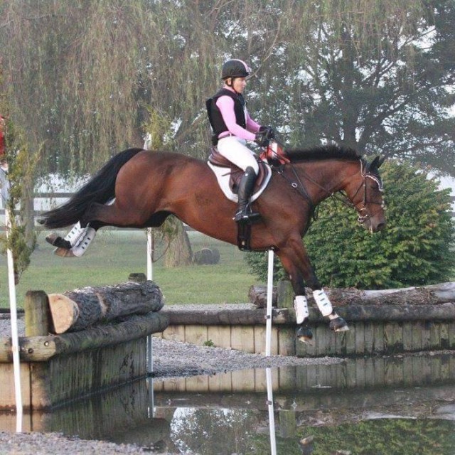 What’s in Your Ring? with Leah Snowden | Eventing Nation - Three-Day ...