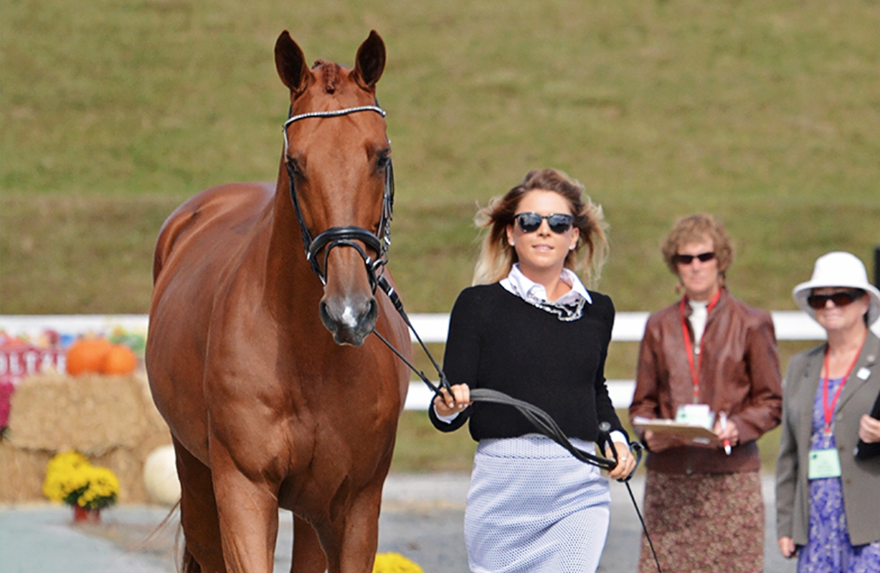 Turn Out Tips for the First Horse Inspection at Your Next Three-Day ...