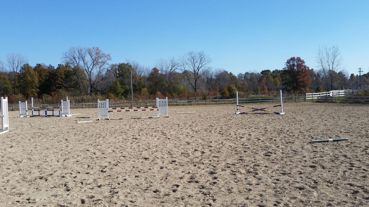 What’s in Your Ring? Pole Work with Michael Willham | Eventing Nation ...