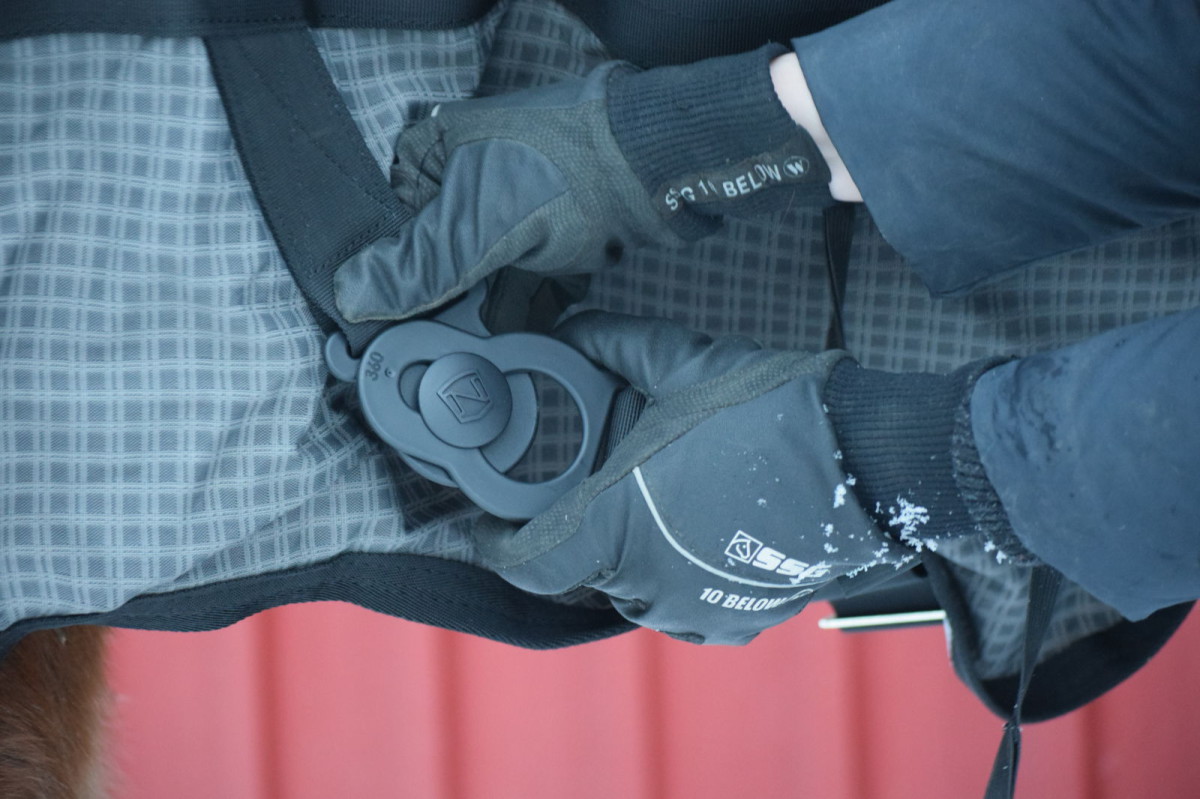 Colleen Peachey | Eventing Nation - Three-Day Eventing News, Results ...