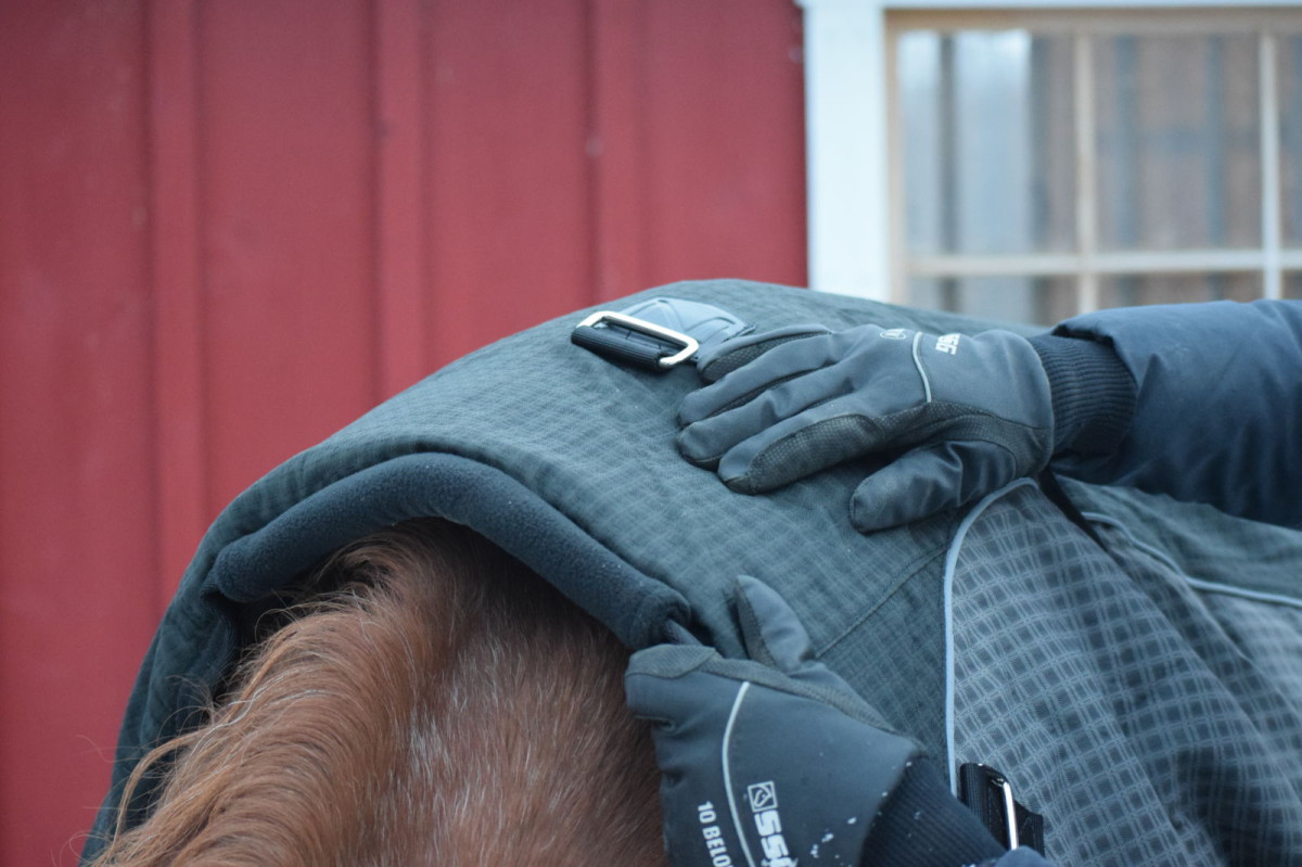 Colleen Peachey | Eventing Nation - Three-Day Eventing News, Results ...