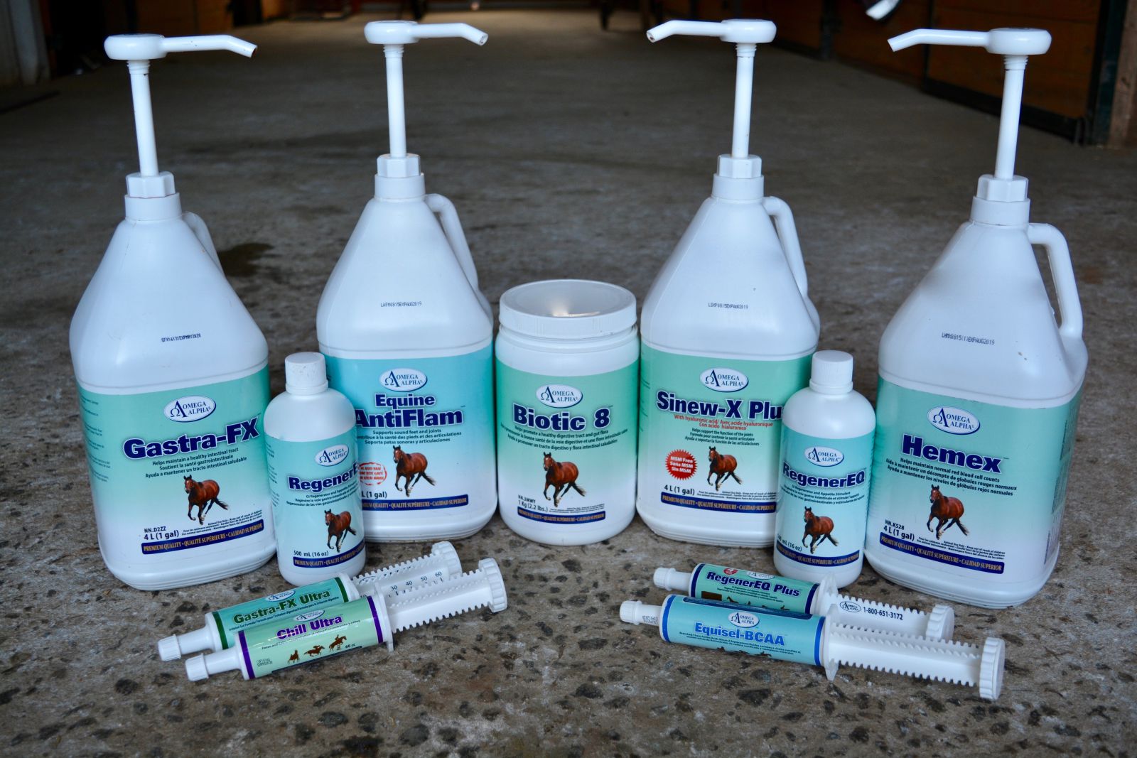 Product Review: Omega Alpha Equine AntiFlam and Sinew-X Plus | Eventing ...
