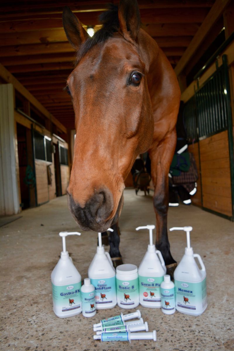 Product Review: Omega Alpha Chill Ultra & Equisel-BCAA Paste | Eventing ...