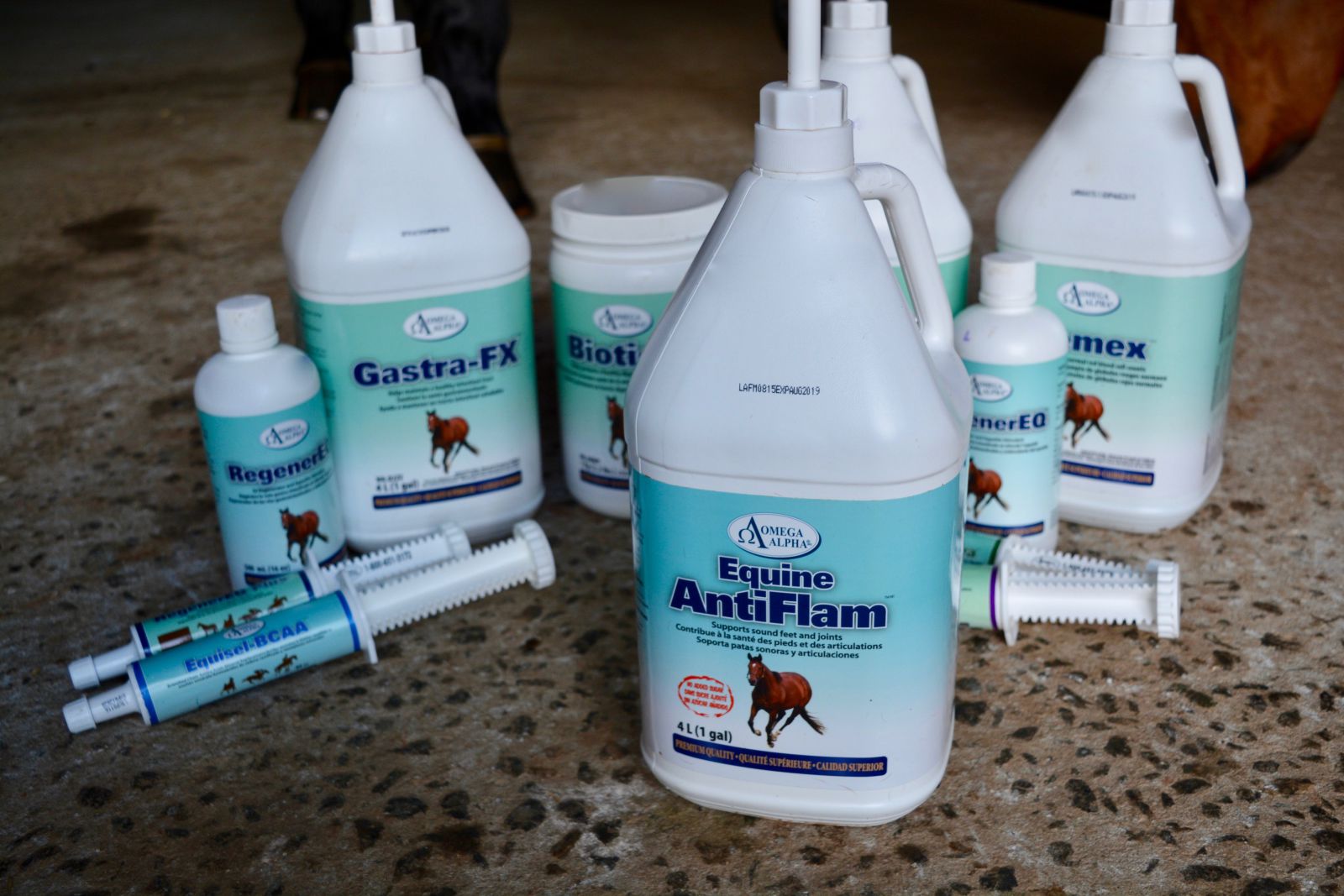 Product Review: Omega Alpha Equine AntiFlam and Sinew-X Plus | Eventing ...