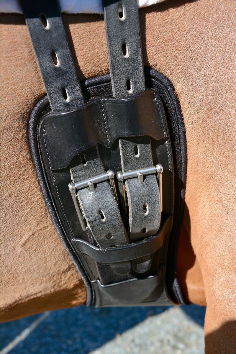 Product Review: Professional’s Choice VenTECH Leather Girths | Eventing ...