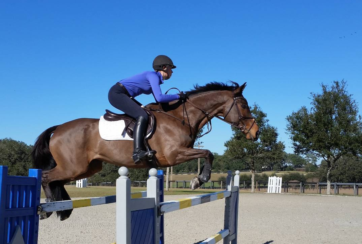 The Eventing 25 Training Sessions in Photos | Eventing Nation - Three ...
