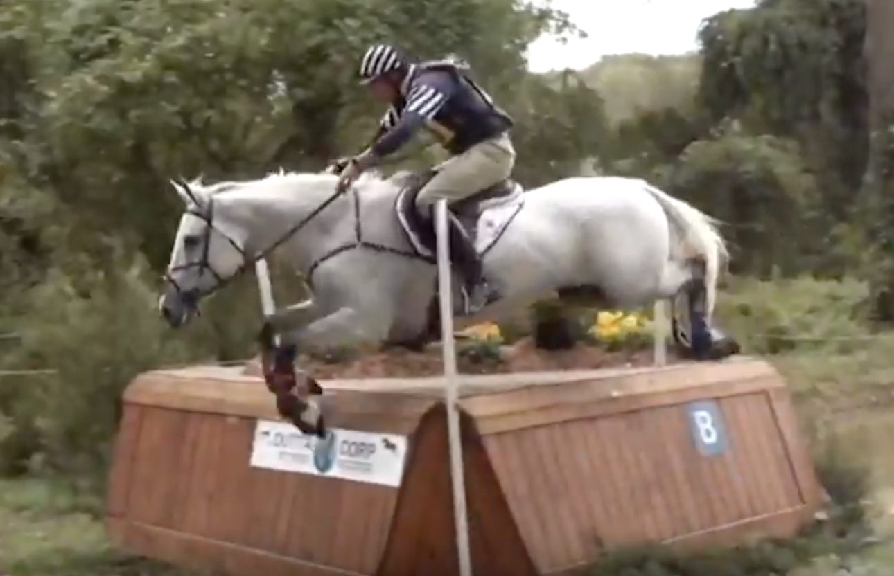 Friday Video from World Equestrian Brands: Spotlight on Welcome Shadow ...