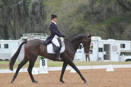 Let’s meet Kadi Eykamp’s Horses | Eventing Nation - Three-Day Eventing ...