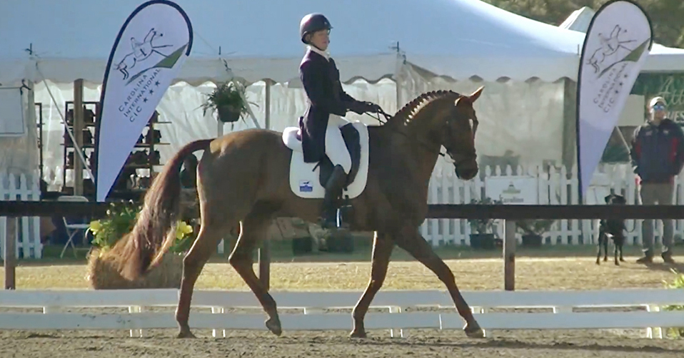 Thursday Video: Allison Springer & Arthur’s Winning Carolina Dressage ...