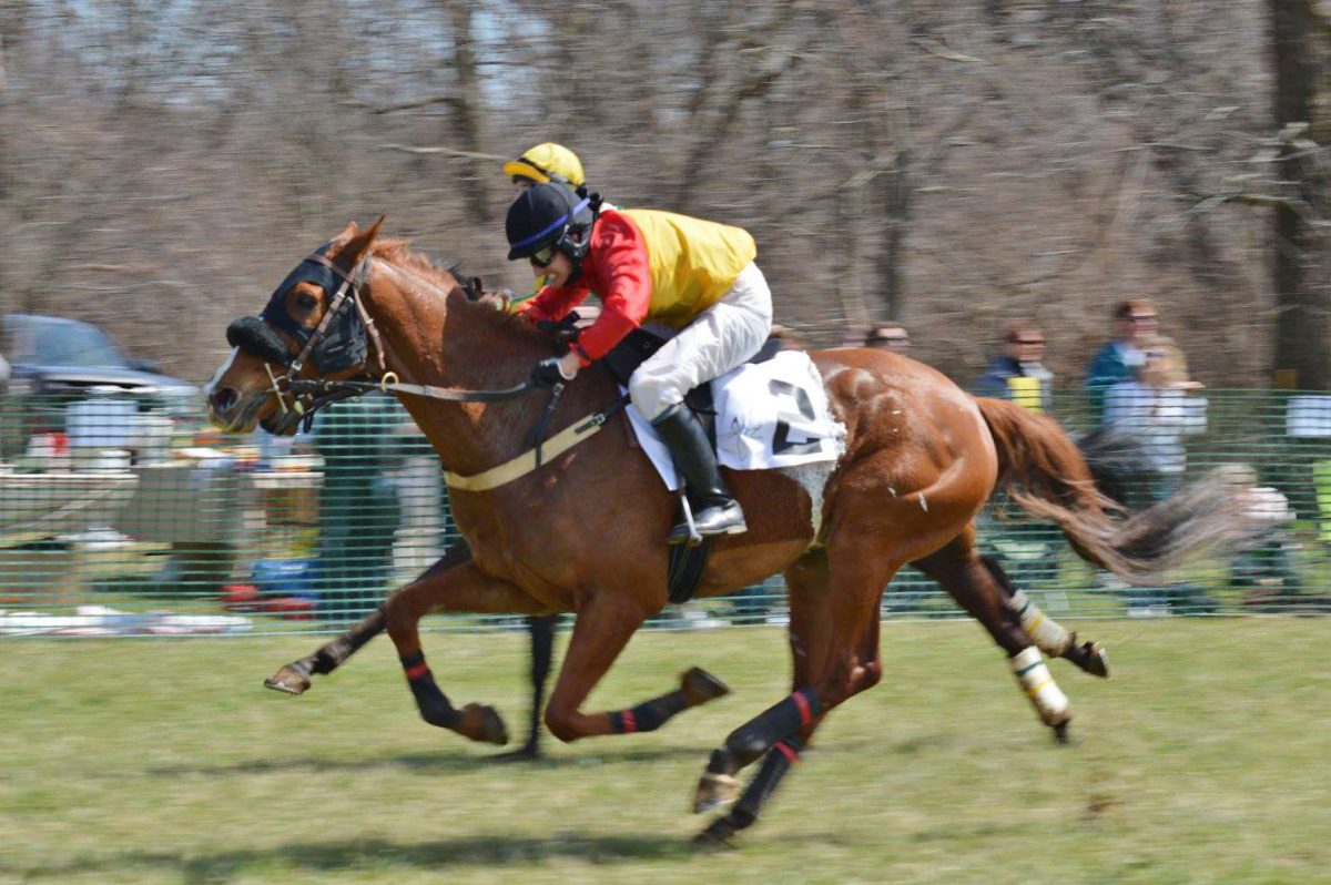 Jennie Brannigan Wins Her Timber Racing Debut Aboard Joshua G ...