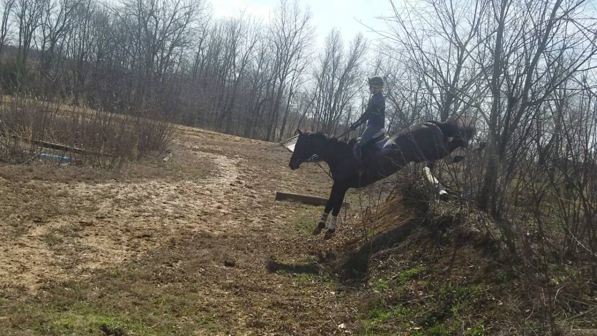 7 Ideas for Building Your Own DIY Cross Country Jumps on the Cheap ...