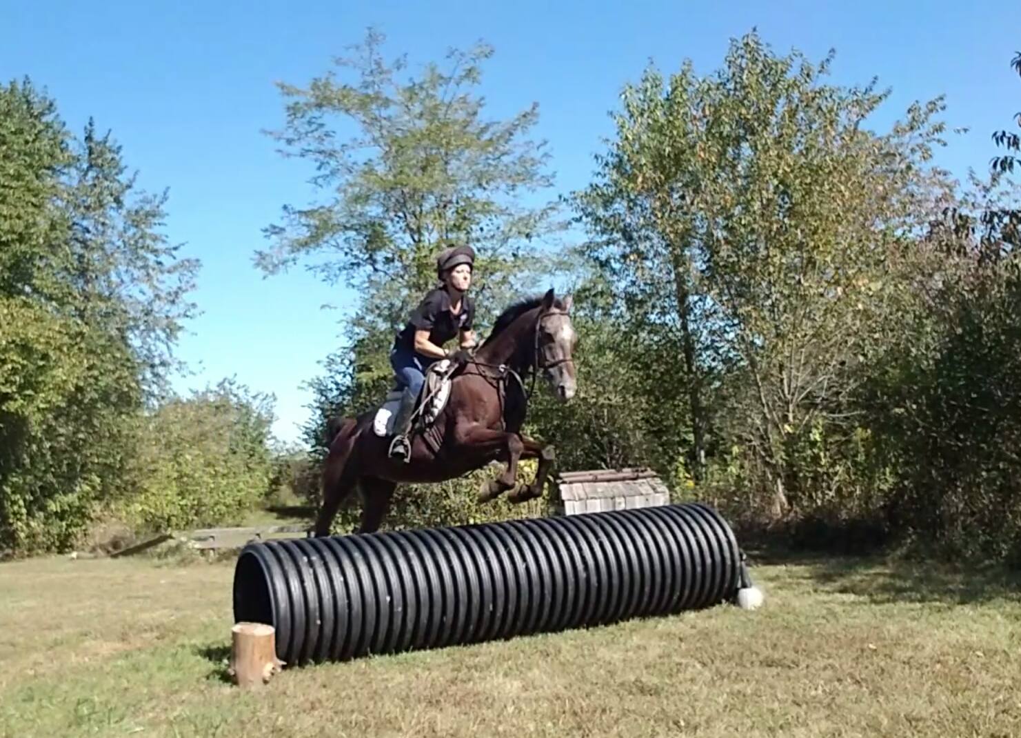 7 Ideas for Building Your Own DIY Cross Country Jumps on the Cheap ...