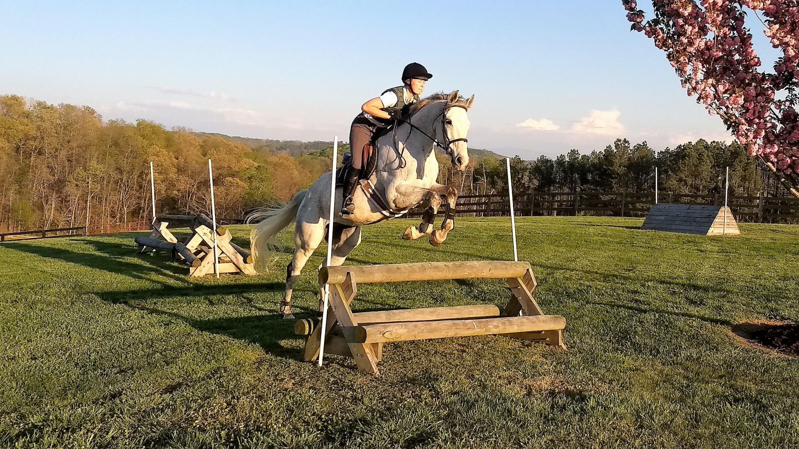 Sport Horse Nation Spotlight: Four More Shades of Grey | Eventing ...
