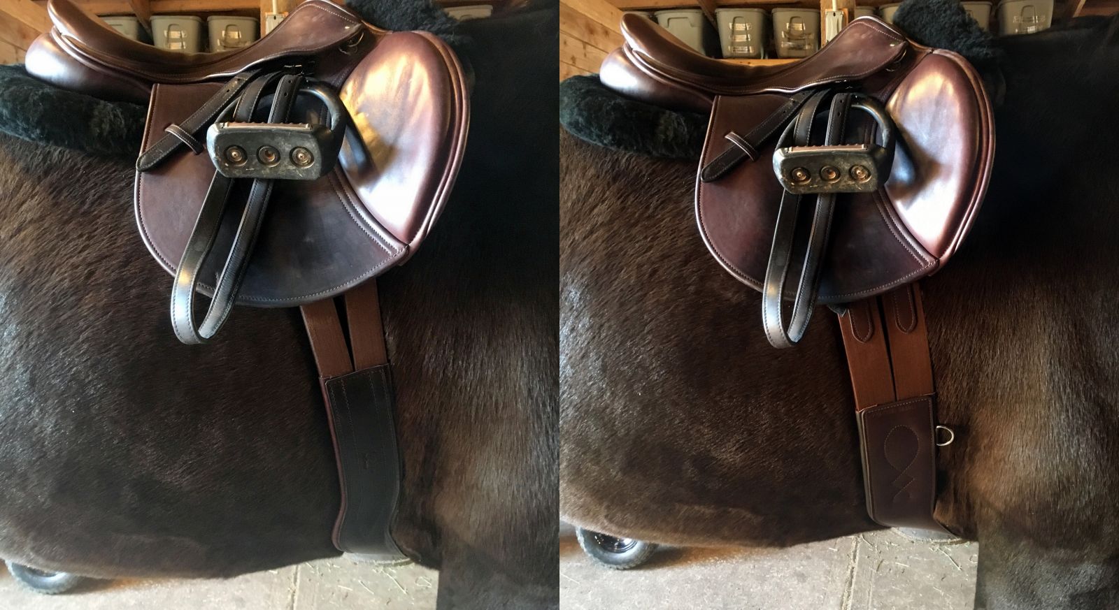 Does a Girth Really Affect Saddle Fit and Stability? | Eventing Nation ...