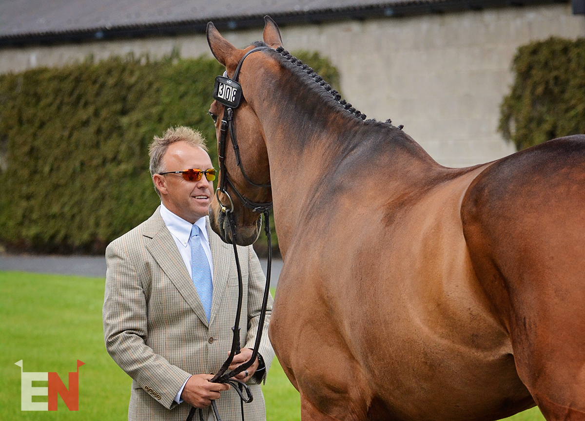 All North American Horses Pass Tattersalls CCI3* First Inspection ...