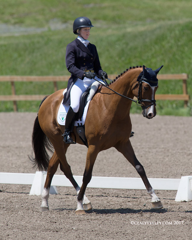 Allison Springer and Lord Willing Steal the Show at Bromont CCI2 ...