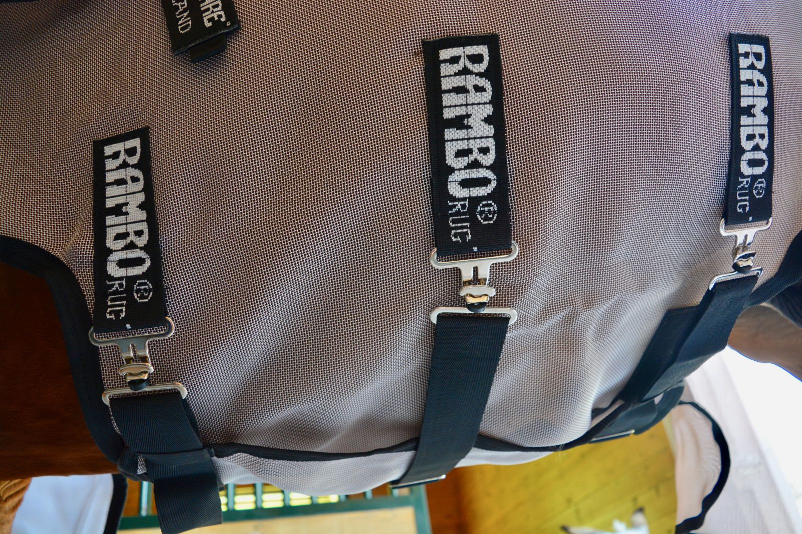 Product Review: Horseware Rambo Fly Buster Vamoose Fly Sheet | Eventing ...