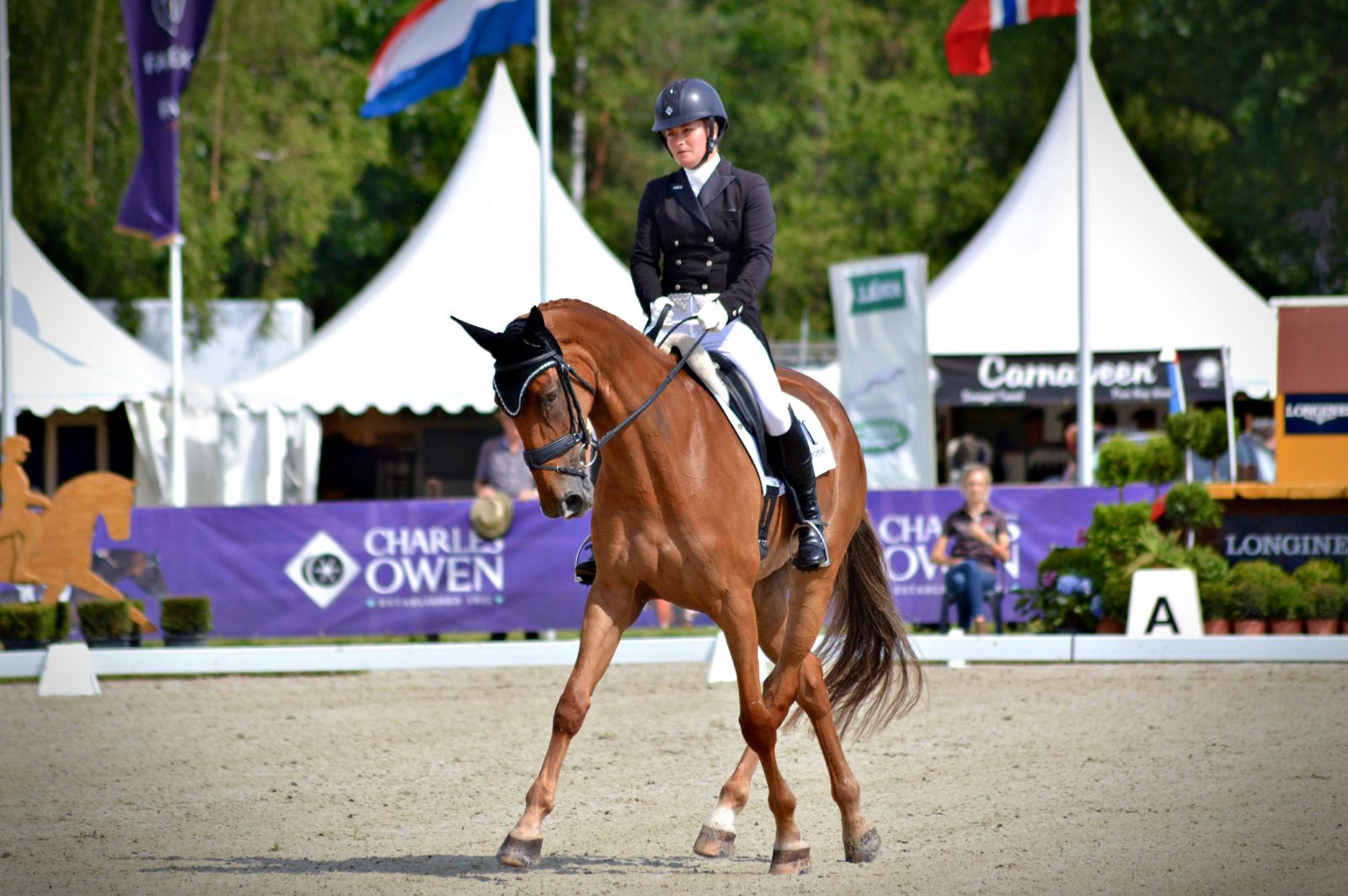 Hannah Sue Burnett & RF Demeter in Luhmühlen CIC3* Dressage Top 10 ...