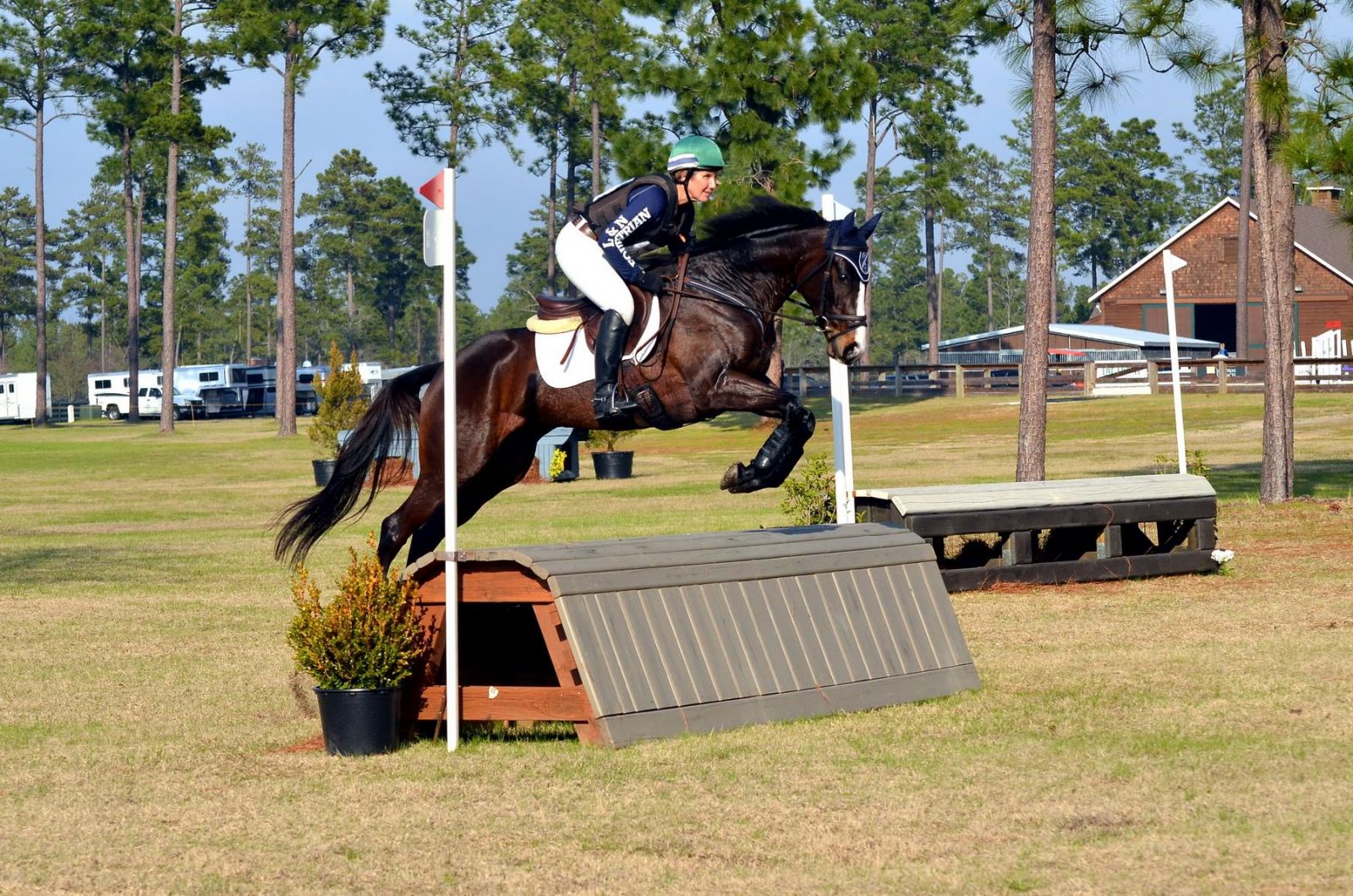 Sport Horse Nation Spotlight: Three Training Level Adventure Buddies ...