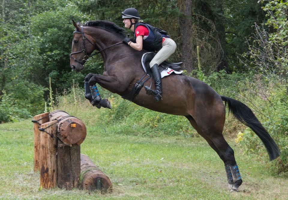 Sport Horse Nation Spotlight: Three Training Level Adventure Buddies ...