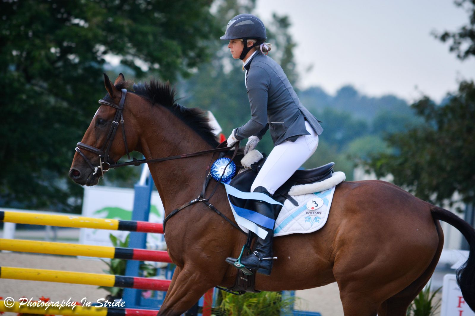 Kentucky Horse Park Crowns Victors in Area VIII Championships ...